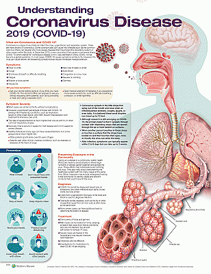 Anatomy Charts & Posters > Understanding Coronavirus Disease 2019 ...